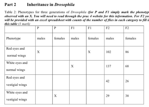 Solved If inheritance is X-linked it is rewritten as XAXB if | Chegg.com