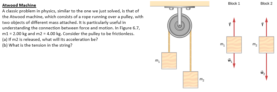 Solved Problem-solving Strategy: Applying Newton's Laws of | Chegg.com