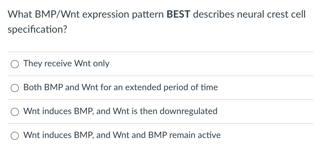 Solved What BMP/Wnt expression pattern BEST describes neural | Chegg.com