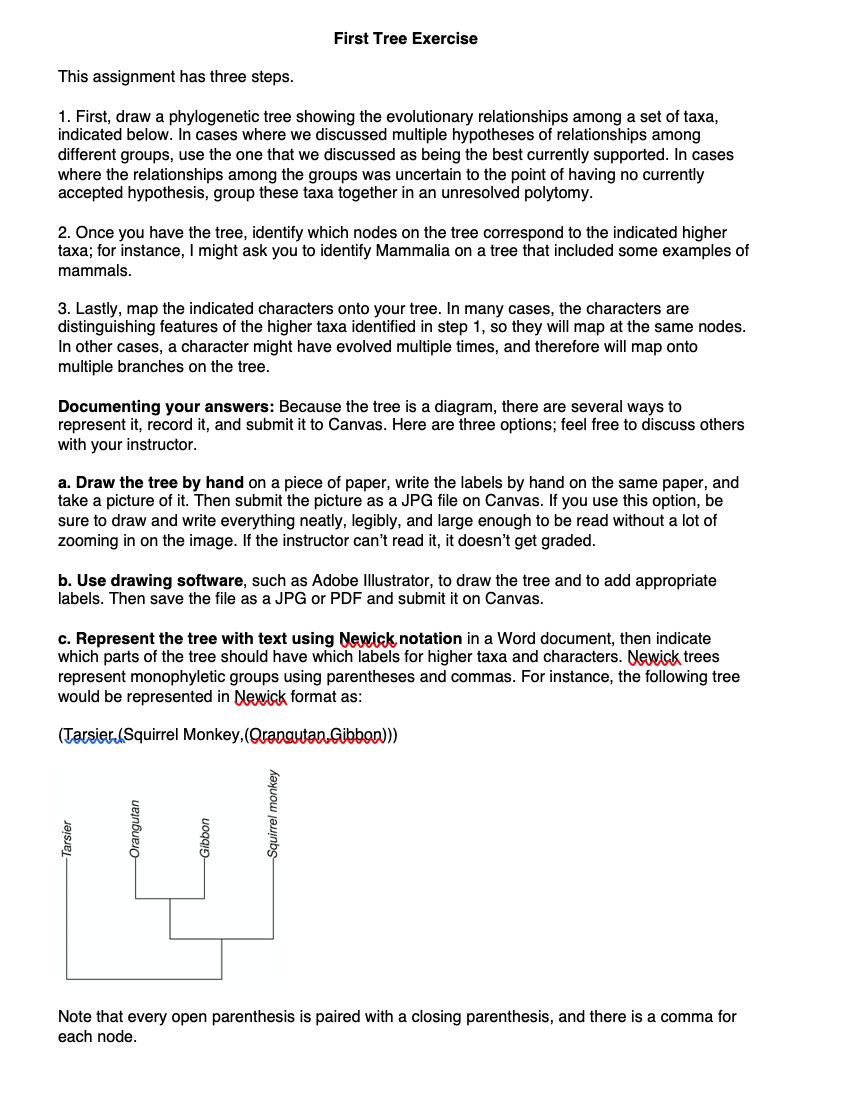 First Tree Exercise This assignment has three steps. | Chegg.com