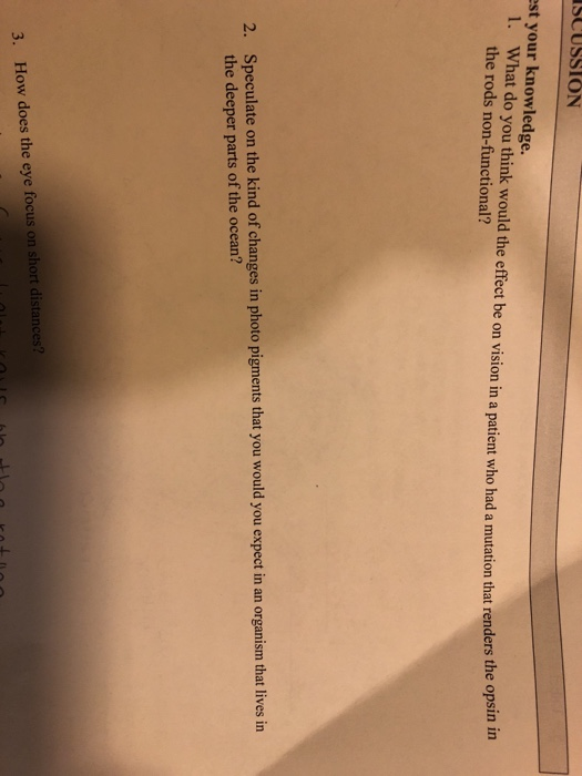 Solved SCUssION est your knowledge. What do you think would | Chegg.com