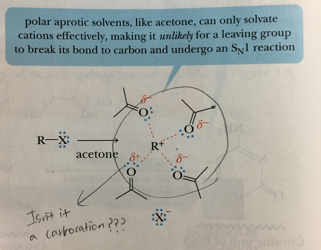 Solved SN2 reaction in aprotic solvents.... I don't | Chegg.com