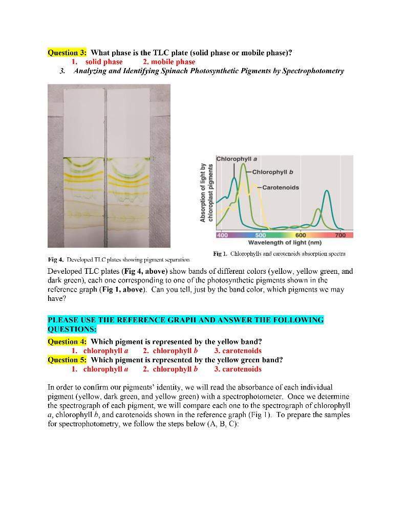 Solved BIOLOGY 181 Lab 10: Extraction and Analysis of | Chegg.com