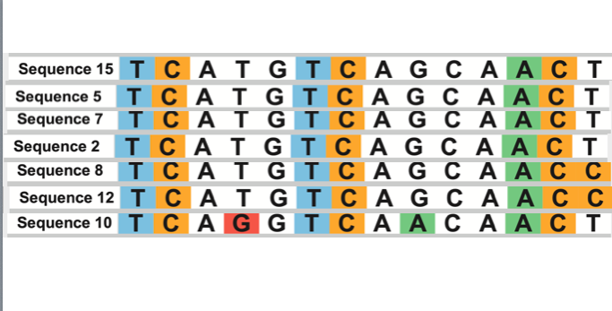 Solved Reference CT A T G C A A G C A GT T Sequence 6 C CAT | Chegg.com