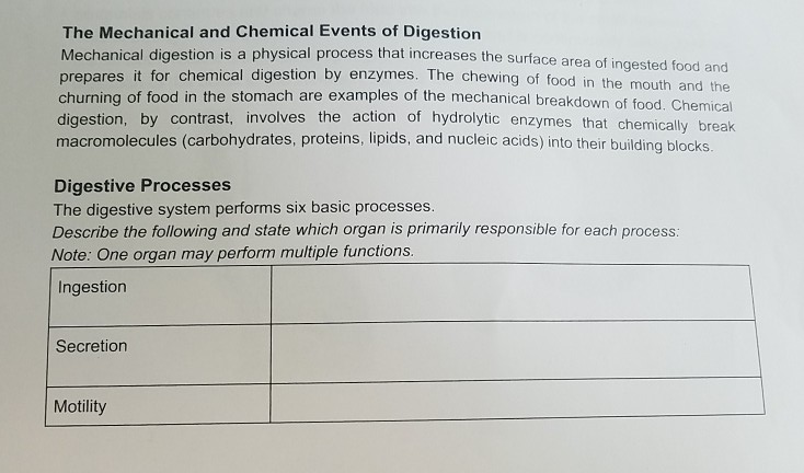 Solved The Mechanical and Chemical Events of Digestion is a | Chegg.com