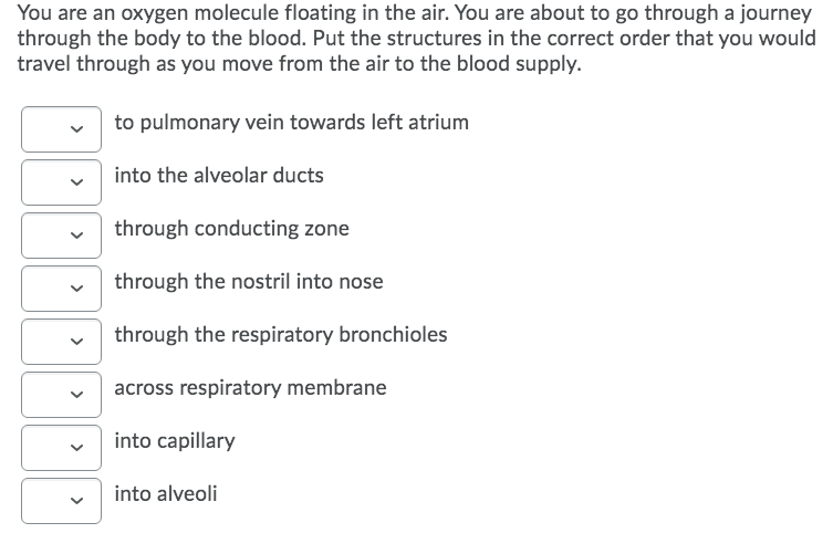 Solved You are an oxygen molecule floating in the air. You | Chegg.com