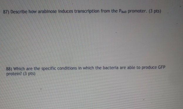 Solved 87) Describe how arabinose induces transcription from | Chegg.com