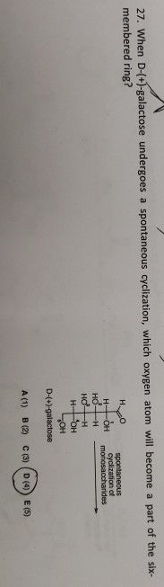 Solved 27. When D-(+-galactose undergoes a spontaneous | Chegg.com