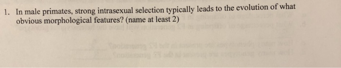 Solved In male primates, strong intrasexual selection | Chegg.com