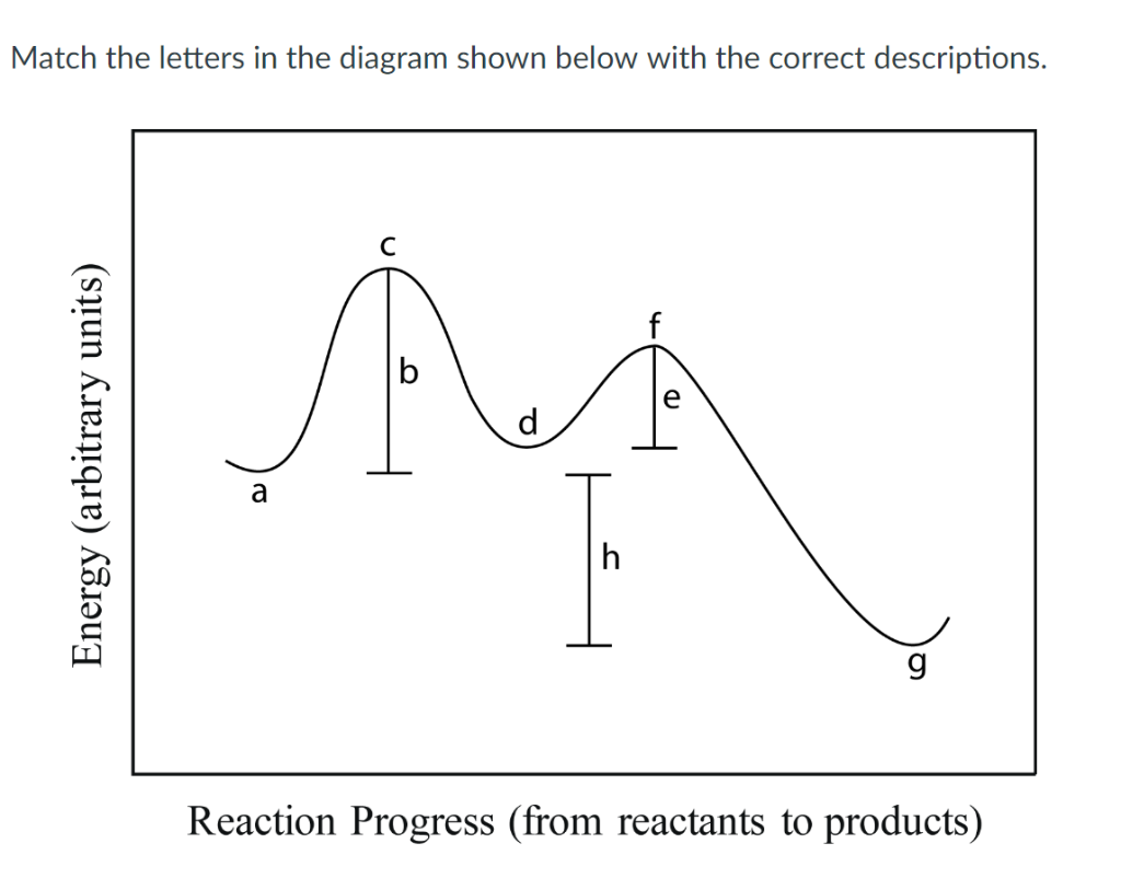 Solved Match the letters in the diagram shown below with the | Chegg.com