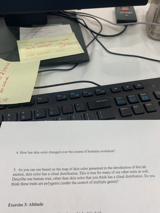 Solved Lab S: Modern Human Variation Exercise 1: Skin Color | Chegg.com