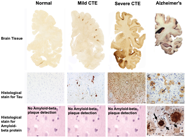 Solved Let’s look at an image representing the changes in | Chegg.com