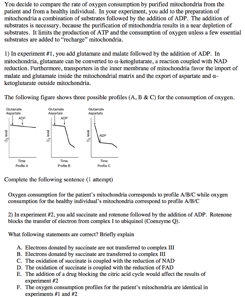 Solved You decide to compare the rate of oxygen consumption | Chegg.com