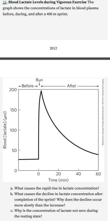 Solved 16. Blood Lactate Levels during Vigorous Exercise The | Chegg.com