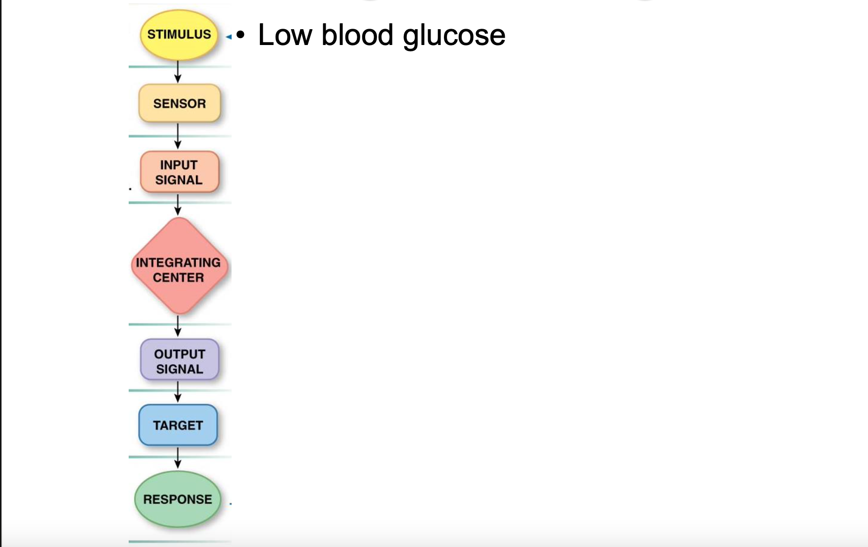 Solved 10-1 STIMULUS SENSOR INPUT SIGNAL INTEGRATING CENTER | Chegg.com