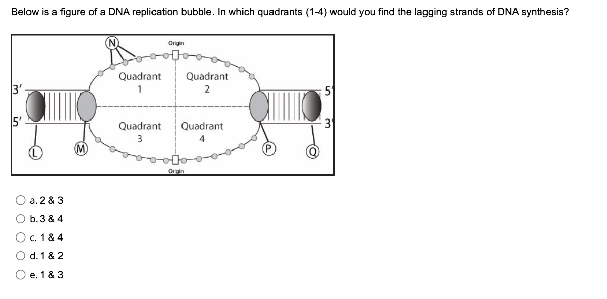 Solved a. 2 \& 3 b. 3 \& 4 c. 1 \& 4 d. 1 \& 2 e. 1 \& 3 | Chegg.com
