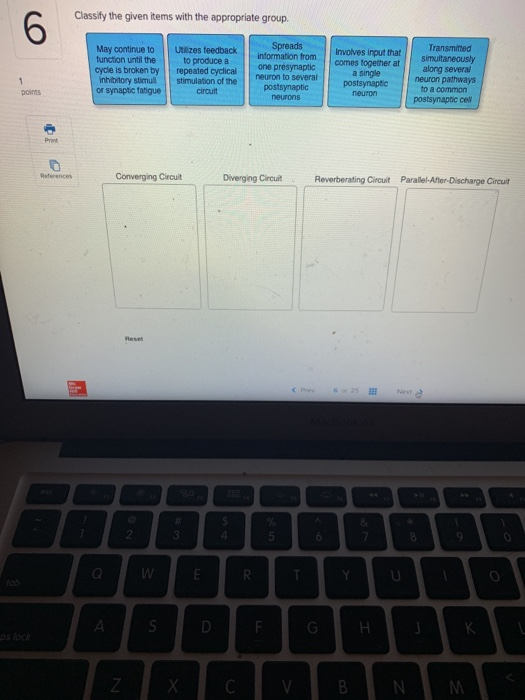 Solved Correctly identify each of these definitions or | Chegg.com