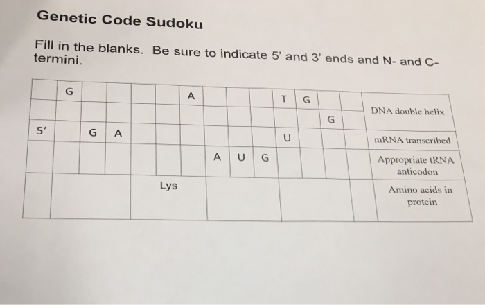 Solved Genetic Code Sudoku Fill in the blanks. Be sure to | Chegg.com