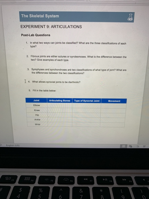 Solved The Skeletal System EXPERIMENT 9: ARTICULATIONS | Chegg.com