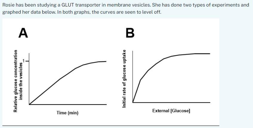 Solved In graph A, at the point at which the curve has | Chegg.com