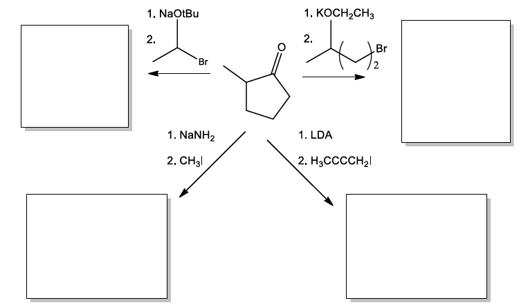 Solved 1. NaOtBu 1. KOCH2CH3 2. 2. Br Br 1. NaNH2 1. LDA 2. | Chegg.com