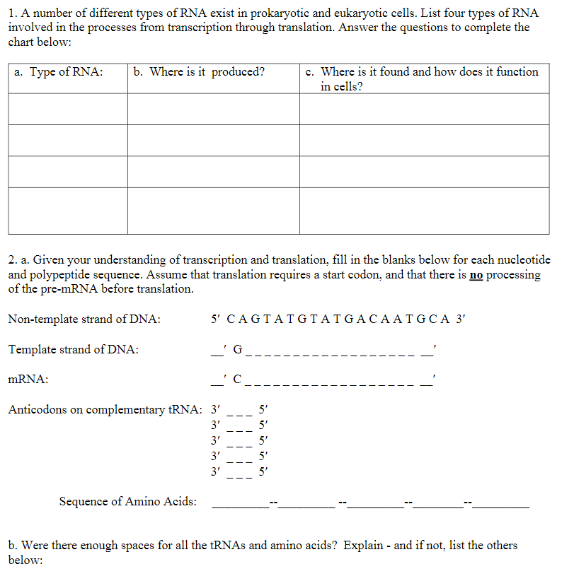 Solved 1. A number of different types of RNA exist in | Chegg.com