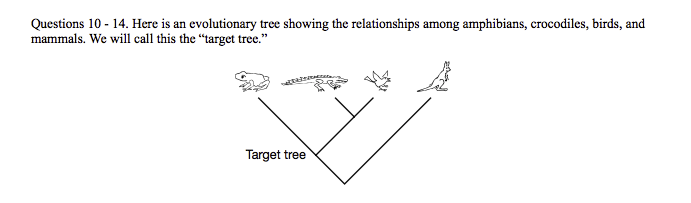 Solved Questions 10 - 14. Here is an evolutionary tree | Chegg.com
