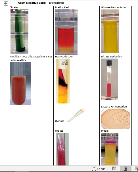 Solved In need help filling out the chart below based on the | Chegg.com