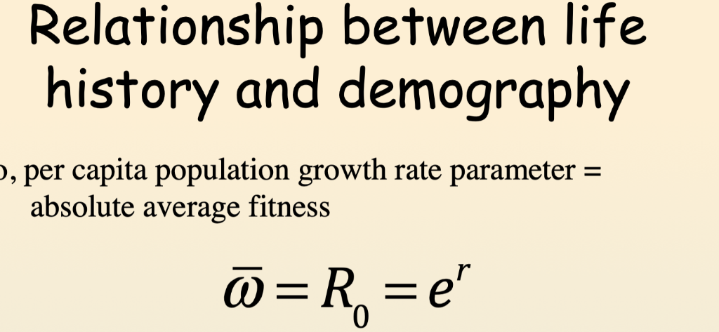 Solved Absolute average fitness Net reproductive rate of the | Chegg.com