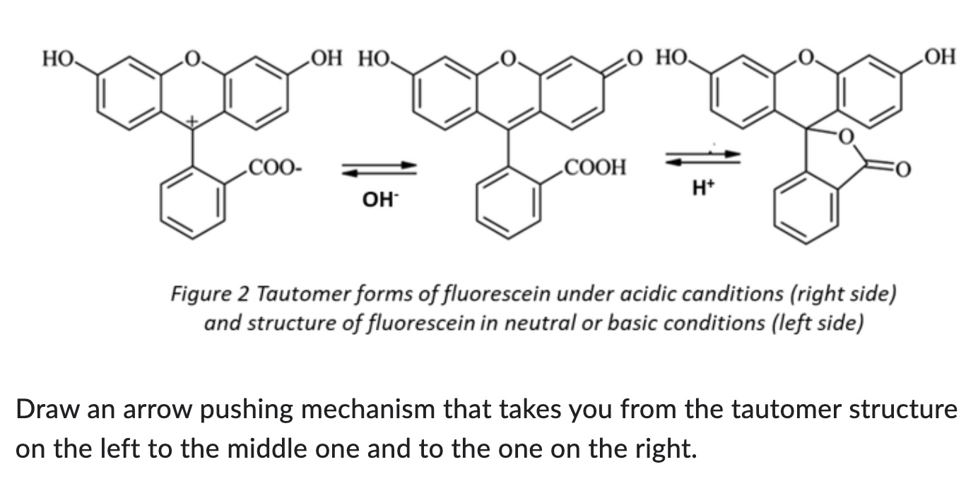 Solved Figure 2 ﻿Tautomer forms of fluorescein under acidic | Chegg.com