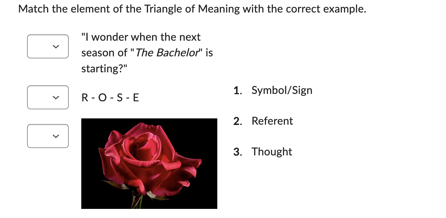 Solved Match the element of the Triangle of Meaning with the | Chegg.com