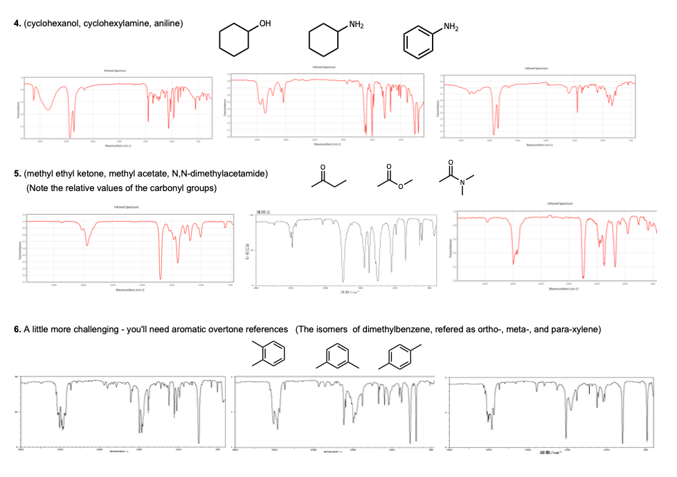 Solved 4. (cyclohexanol, cyclohexylamine, aniline) 5. | Chegg.com