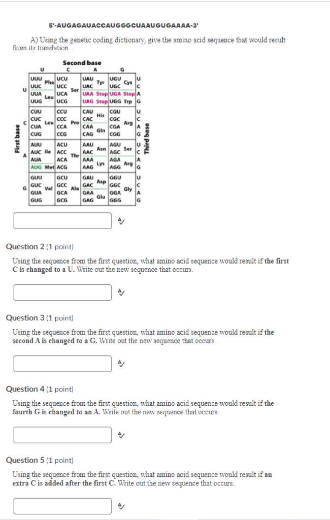 Solved 5-AUGAGAUACCAUGGGCUAAUGUGAAAA-3' A) Using the genetic | Chegg.com