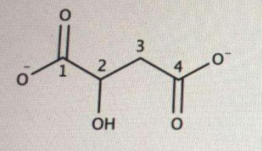 Solved Shown is the fully numbered structure of malate. | Chegg.com