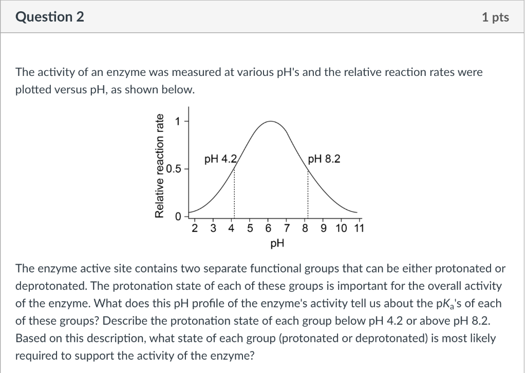 Solved The activity of an enzyme was measured at various | Chegg.com