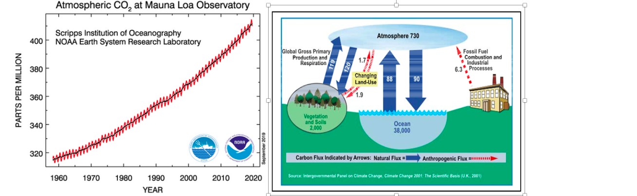 Solved: Background: Scientists Have Been Monitoring Atmosp... | Chegg.com