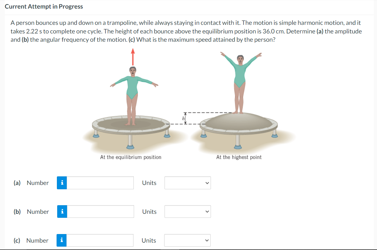 Solved A person bounces up and down on a trampoline, while | Chegg.com