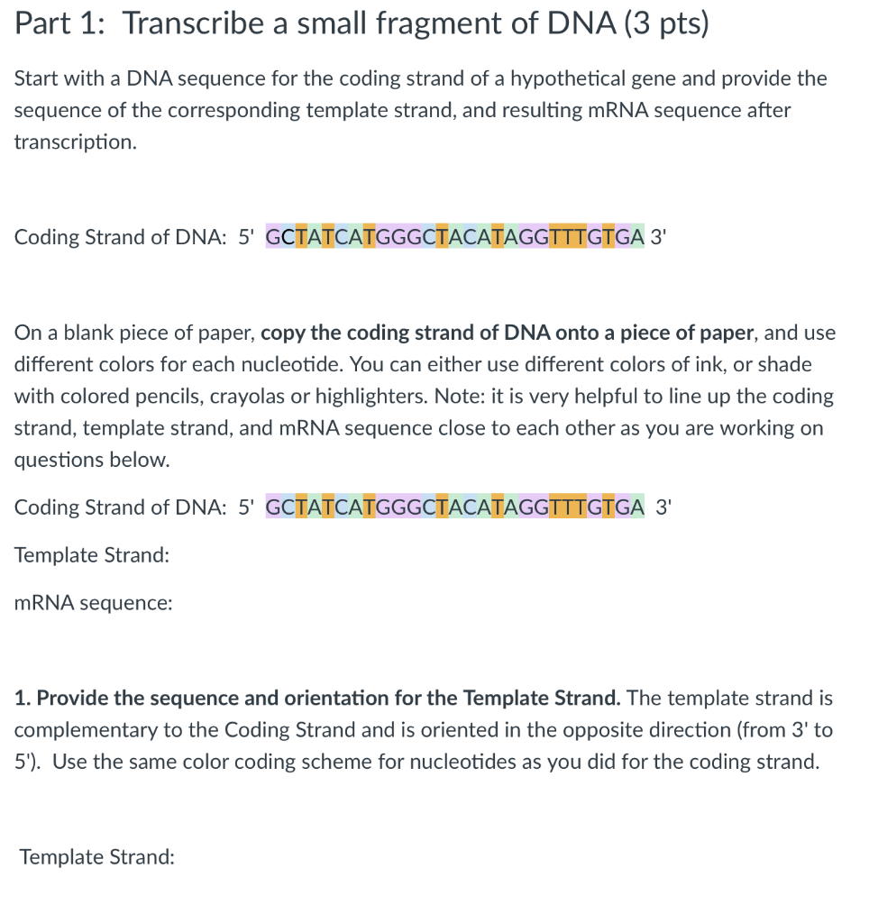 Solved Part 1: Transcribe a small fragment of DNA (3 pts) | Chegg.com