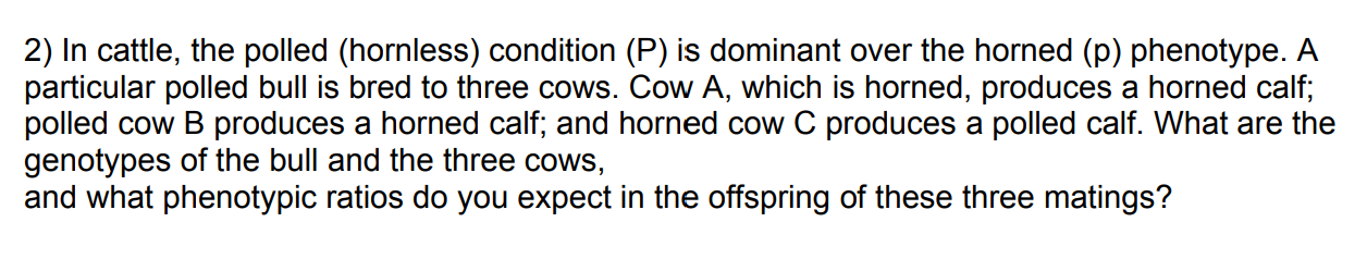 Solved 2) In cattle, the polled (hornless) condition (P) is | Chegg.com