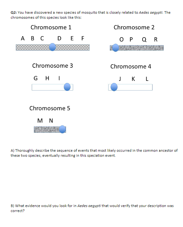Solved Q2: You have discovered a new species of mosquito | Chegg.com