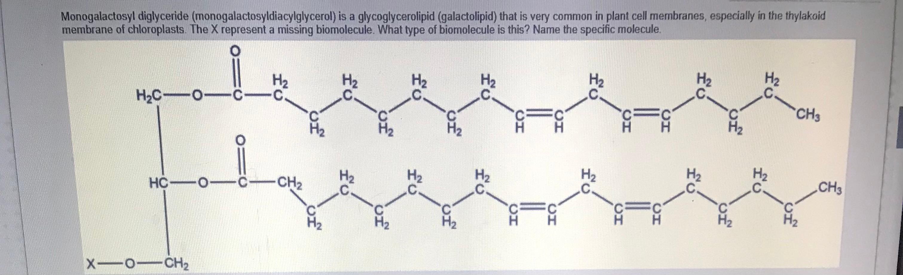 Solved Monogalactosyl diglyceride | Chegg.com