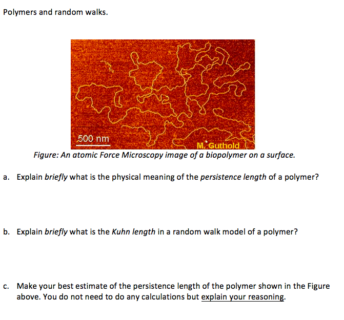 Solved Polymers and random walks. 500 nm M. Guthold Figure: | Chegg.com