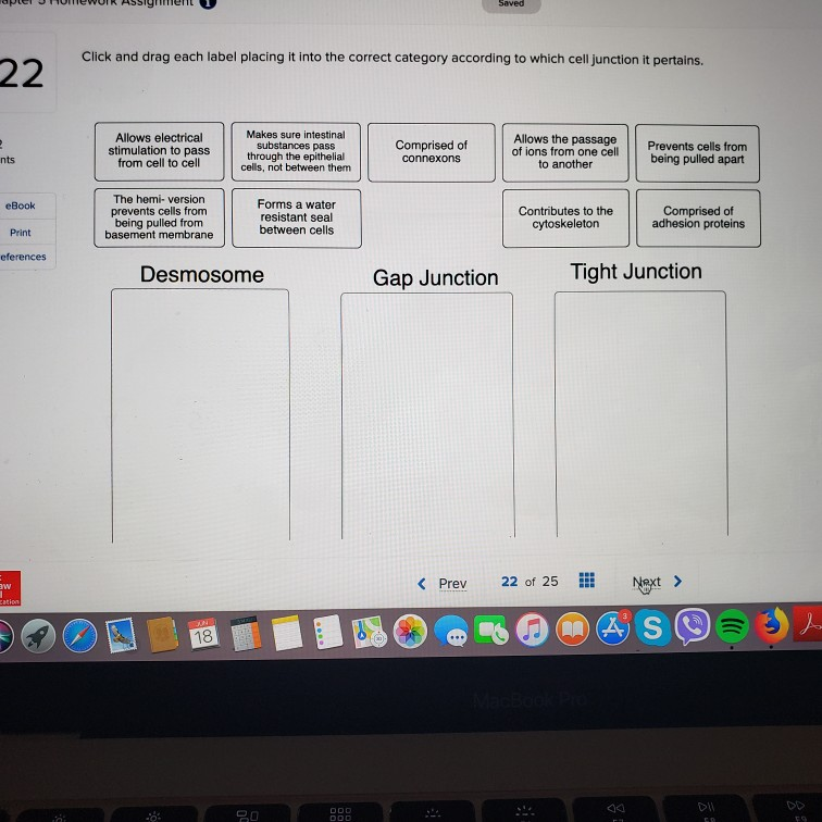 Solved Saved Click and drag each label placing it into the | Chegg.com