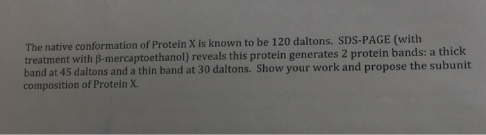 Solved The native conformation of Protein X is known to be | Chegg.com