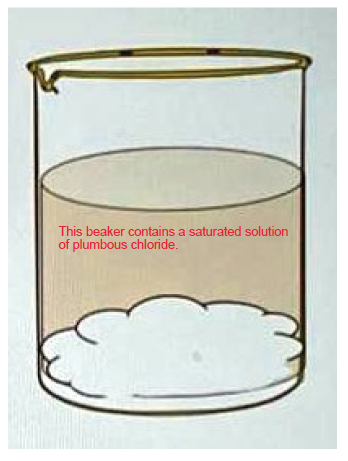 Solved Ihis beaker contains a saturated solution of plumbous | Chegg.com