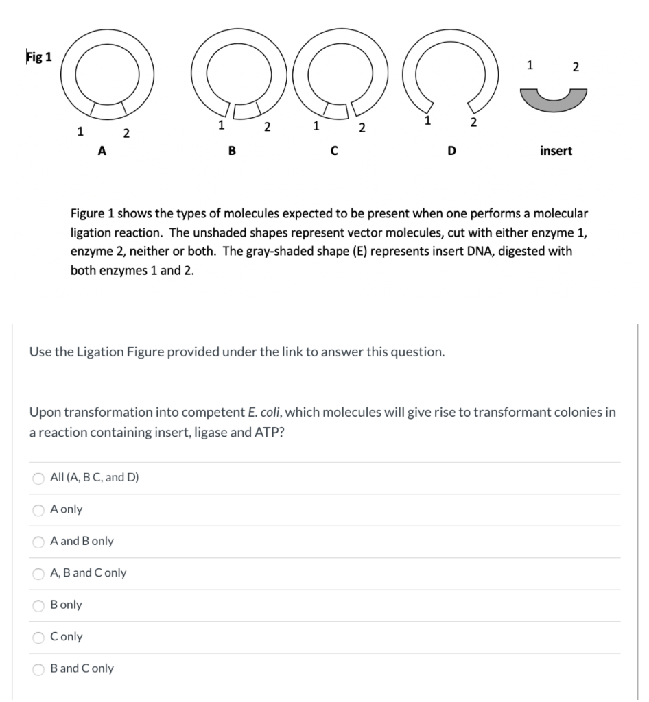Solved Fig 1 o 1 2 1 1 2 2 A B с D insert Figure 1 shows the | Chegg.com