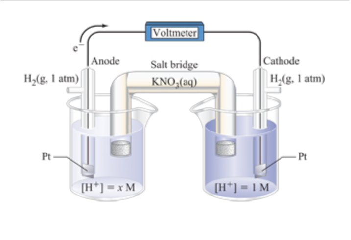 Solved For the cell pictured in the figure, what is Ecell if | Chegg.com