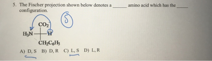 Solved amino acid which has the 5. The Fischer projection | Chegg.com