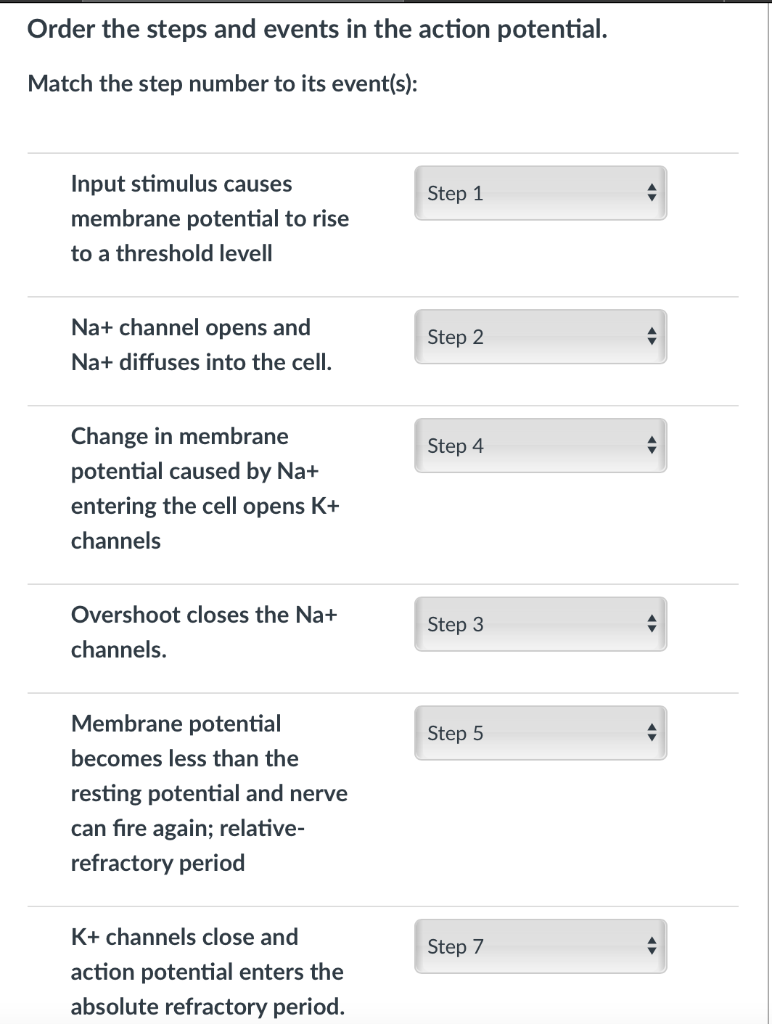 Solved Order the steps and events in the action potential. | Chegg.com