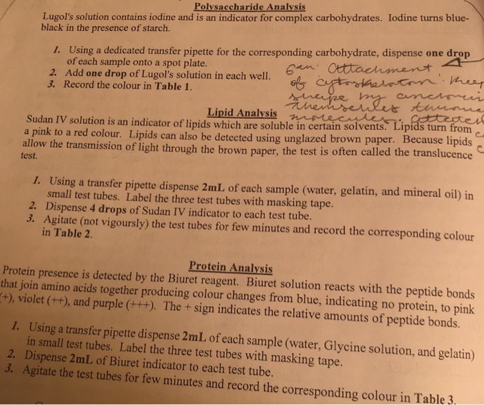 Catalase Lab: Instructions and Data Collection Potato | Chegg.com